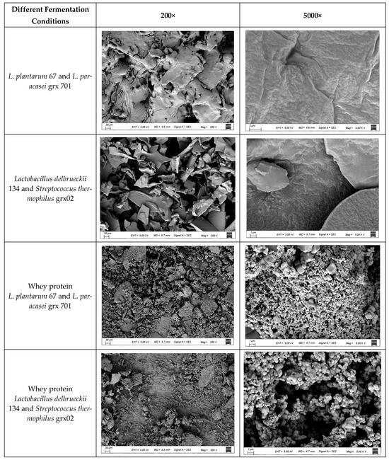 Cheese Whey Protein and Blueberry Juice Mixed Fermentation Enhance the ...