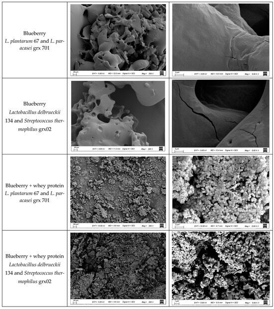 Cheese Whey Protein and Blueberry Juice Mixed Fermentation Enhance the ...