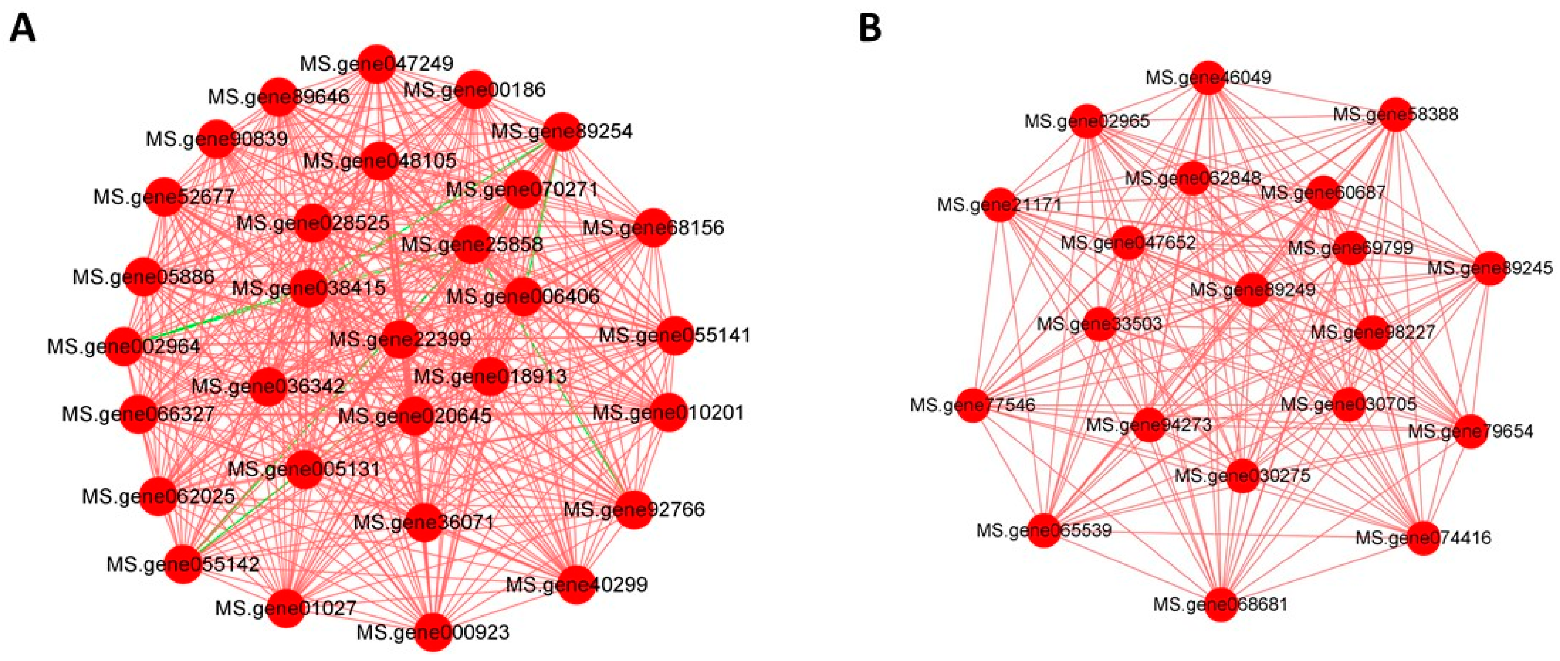 Effects of Selenium Content on Growth, Antioxidant Activity, and Key Selenium-Enriched Gene ...