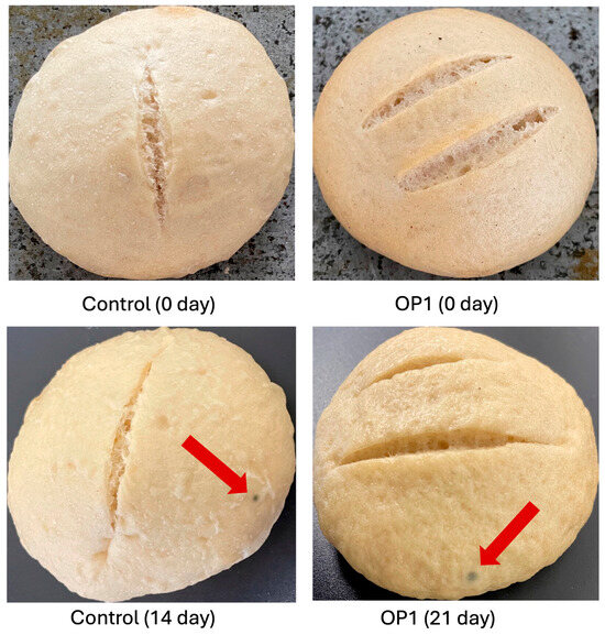 Optimizing Lactic Acid Bacteria Proportions in Sourdough to Enhance ...