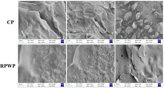 Pectins Rich in RG-I Extracted from Watermelon Peel: Physicochemical ...