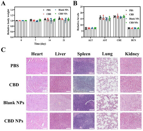 Liver-Targeted Nanoparticles Loaded with Cannabidiol Based on Redox ...