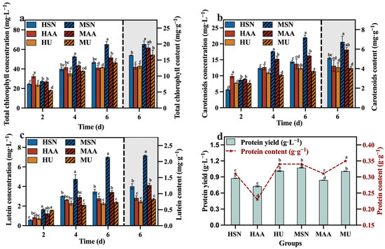 Optimizing Chlorella vulgaris Cultivation to Enhance Biomass and Lutein Production