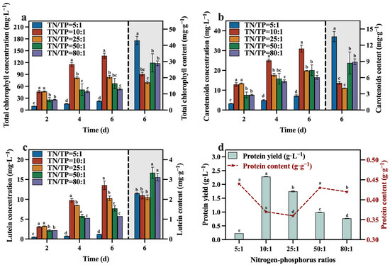 Optimizing Chlorella vulgaris Cultivation to Enhance Biomass and Lutein Production