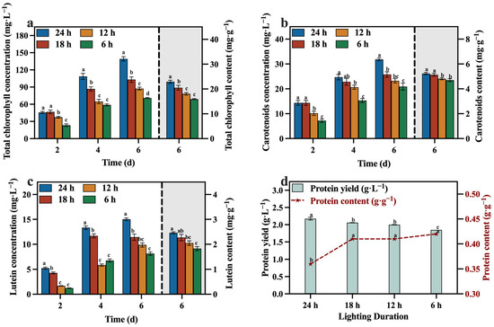 Optimizing Chlorella vulgaris Cultivation to Enhance Biomass and Lutein Production