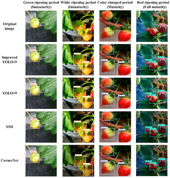 CR-YOLOv9: Improved YOLOv9 Multi-Stage Strawberry Fruit Maturity Detection Application ...