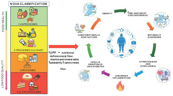 Ultra-Processed Food Intake and Increased Risk of Obesity: A Narrative ...