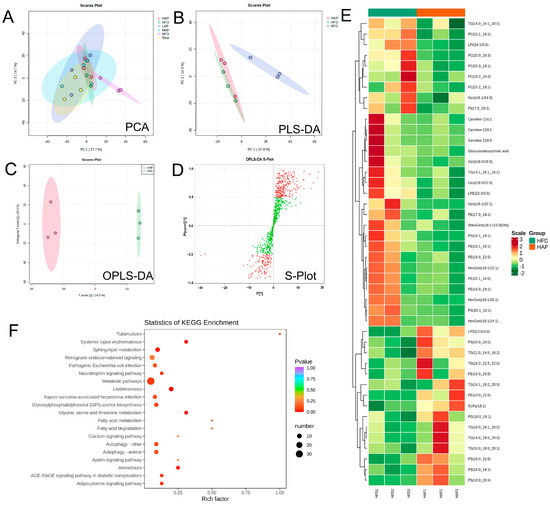 Widely Targeted Lipidomics and Microbiomics Perspectives Reveal the ...