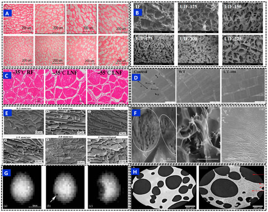 Basic Theory of Ice Crystallization Based on Water Molecular Structure ...