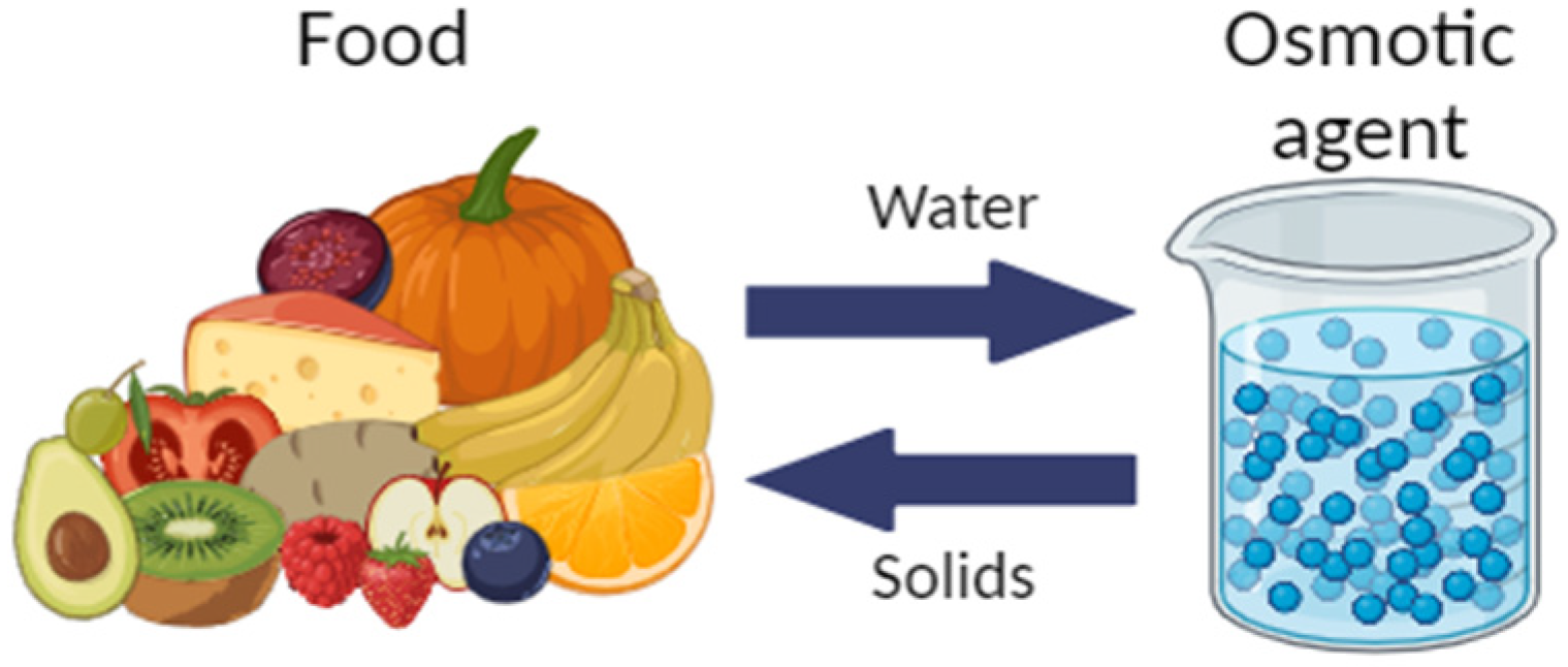 Exploring Osmotic Dehydration for Food Preservation: Methods, Modelling, and Modern Applications