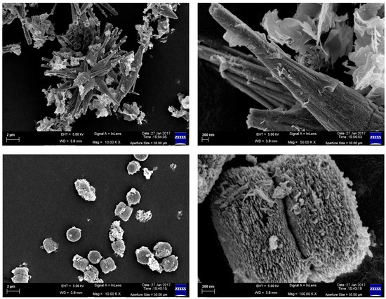Effects of Chemically and Green Synthesized Zinc Oxide Nanoparticles on Shelf Life and Sensory ...