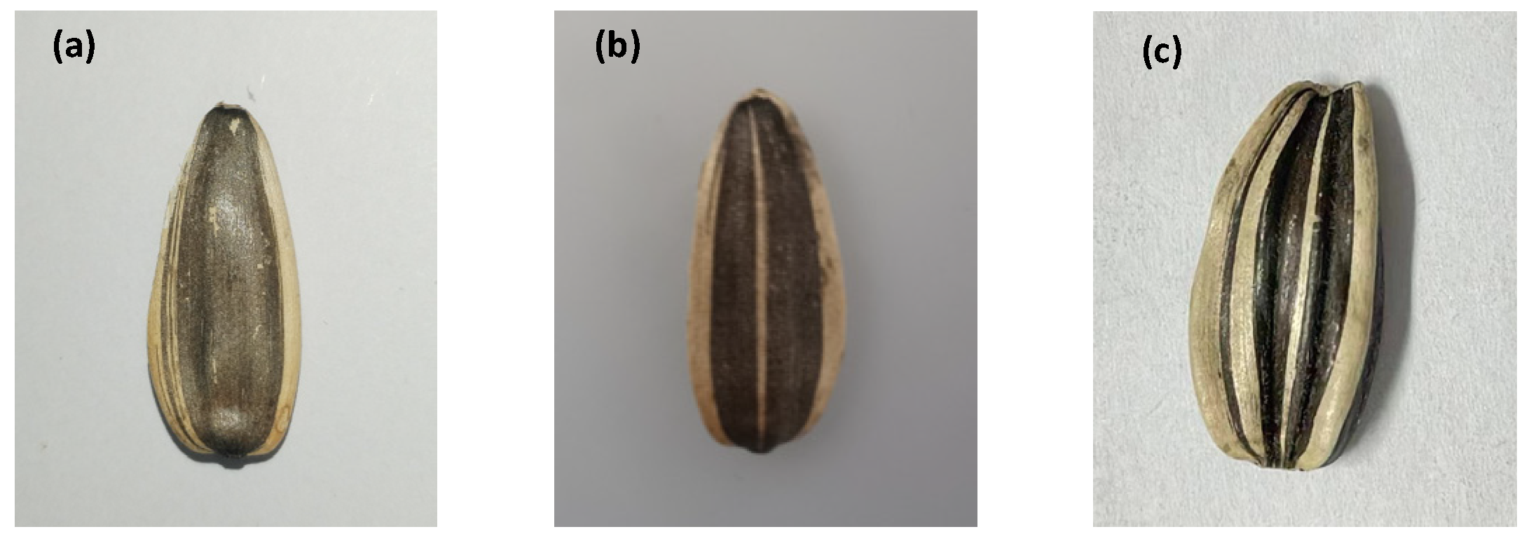 Research on Non-Destructive Quality Detection of Sunflower Seeds Based ...