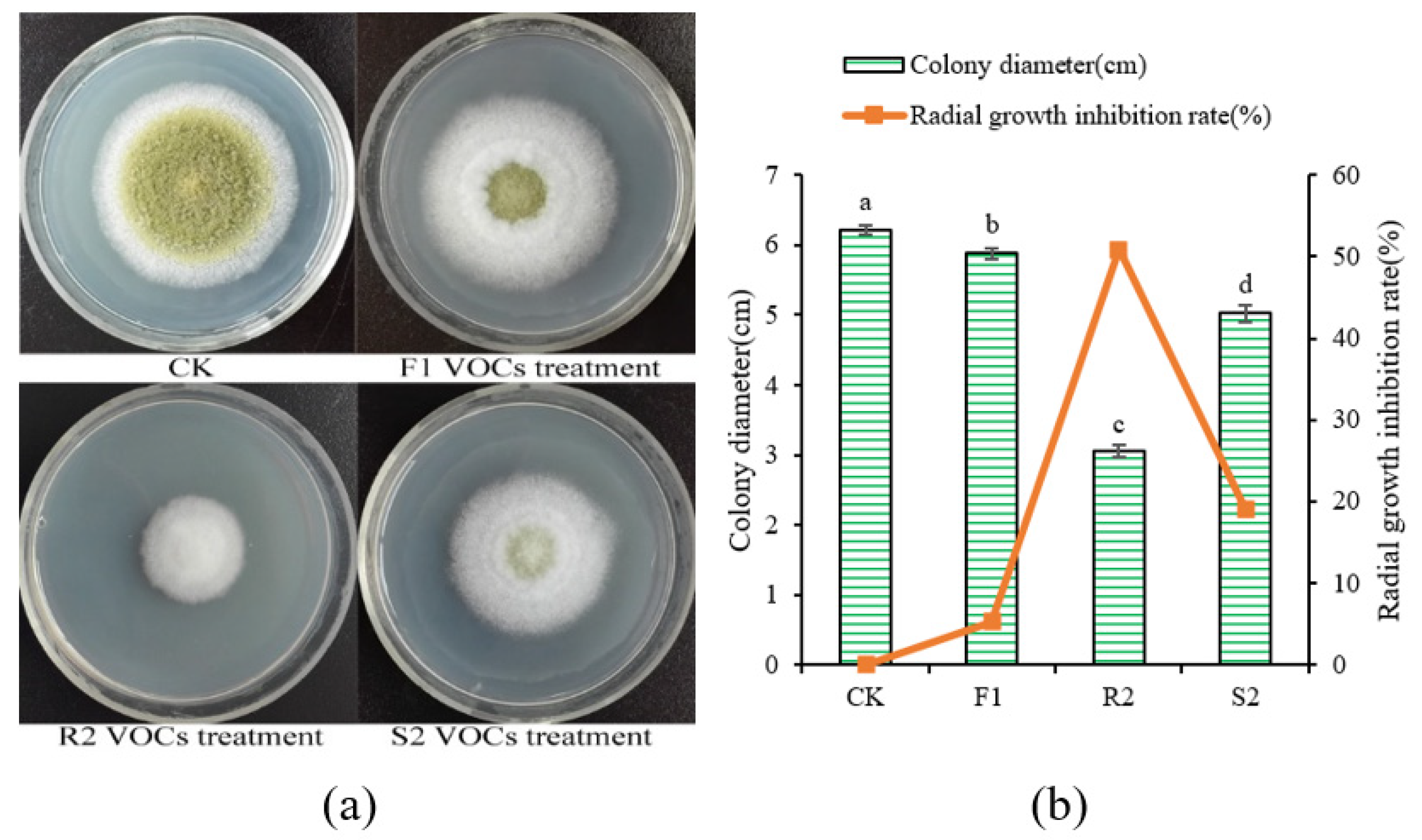 Volatile Organic Compounds Produced by Bacillus sp. Strain R2 Inhibit ...