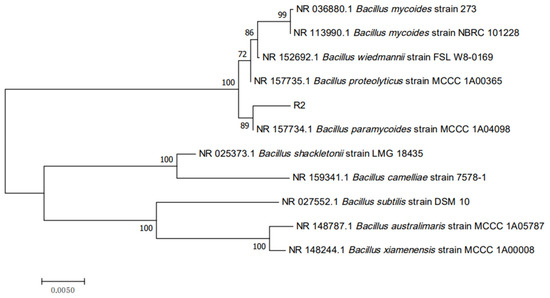 Volatile Organic Compounds Produced by Bacillus sp. Strain R2 Inhibit ...