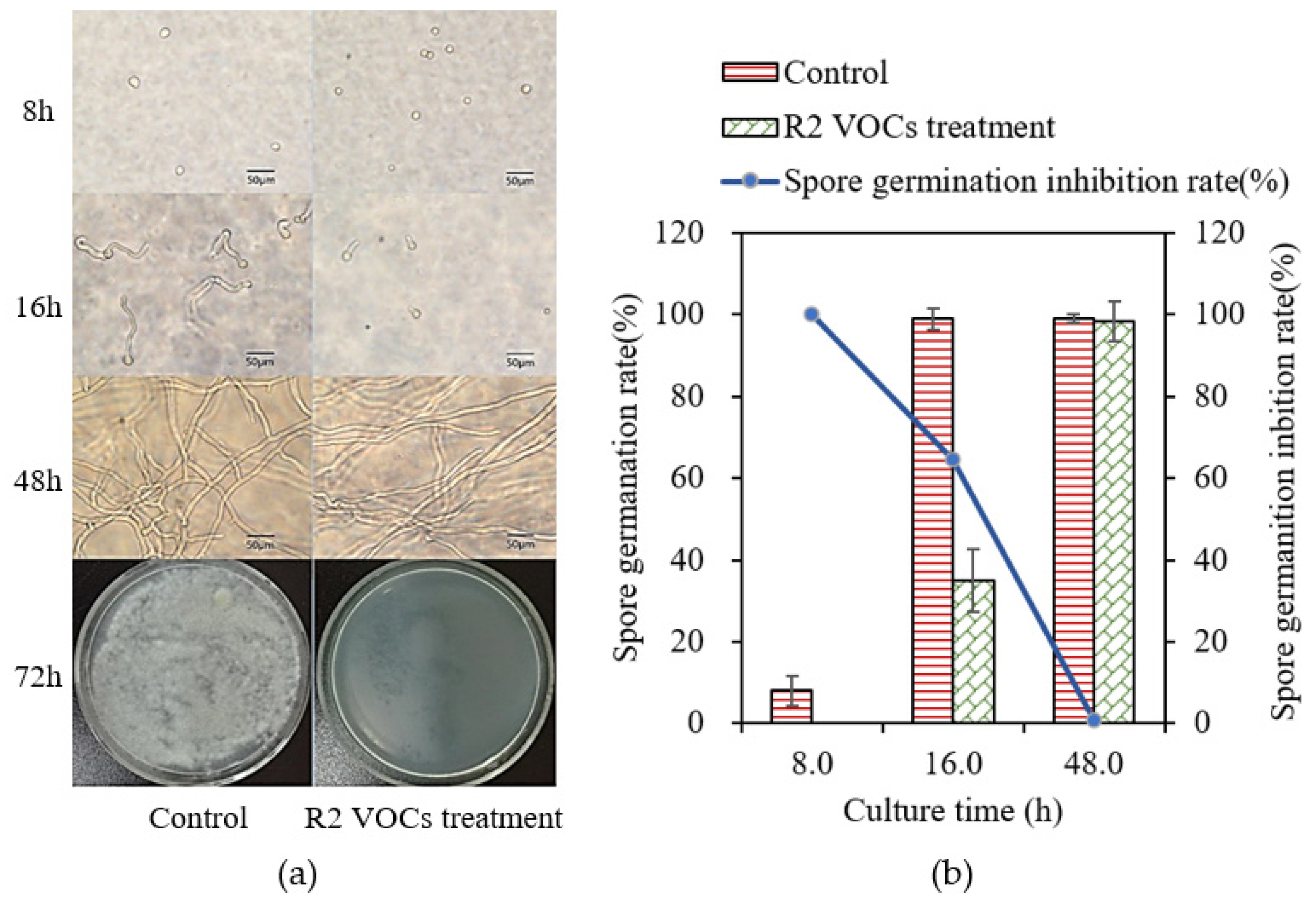 Volatile Organic Compounds Produced by Bacillus sp. Strain R2 Inhibit ...