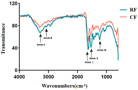 Properties of Skin Collagen from Southern Catfish (Silurus meridionalis ...
