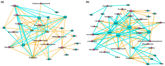 Insights into the Flavor Profile of Yak Jerky from Different Muscles ...