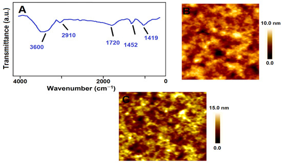 Assessment of Acrylamide Levels by Advanced Molecularly Imprinted ...