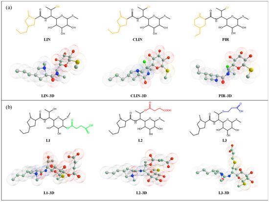 A Lincomycin-Specific Antibody Was Developed Using Hapten Prediction ...