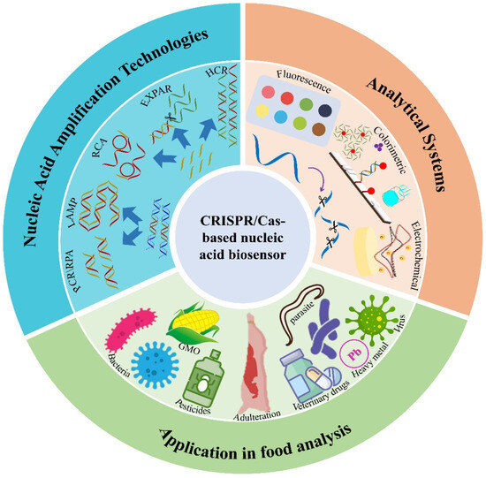 Recent Advances in the CRISPR/Cas-Based Nucleic Acid Biosensor for Food ...