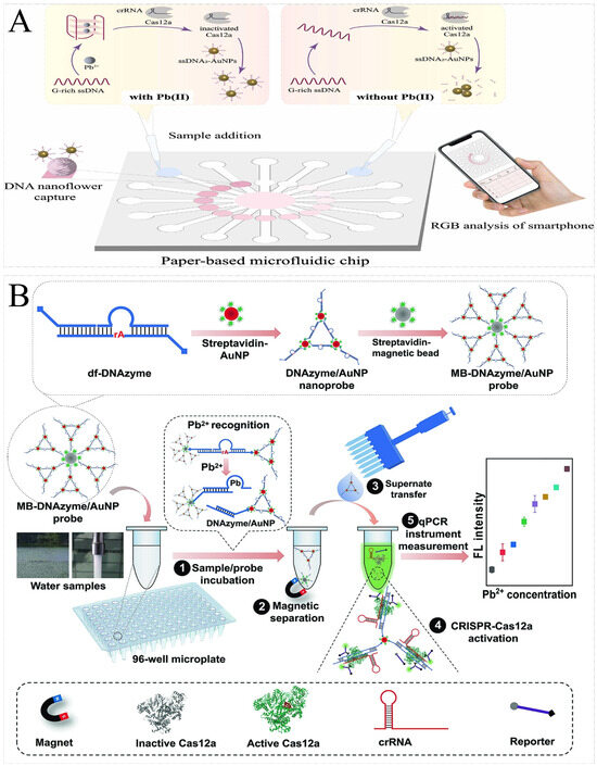 Recent Advances in the CRISPR/Cas-Based Nucleic Acid Biosensor for Food ...