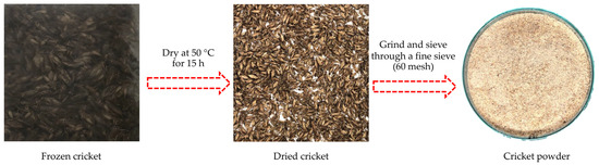 Characteristics and Bioactivities of Protein Hydrolysate from Cricket ...