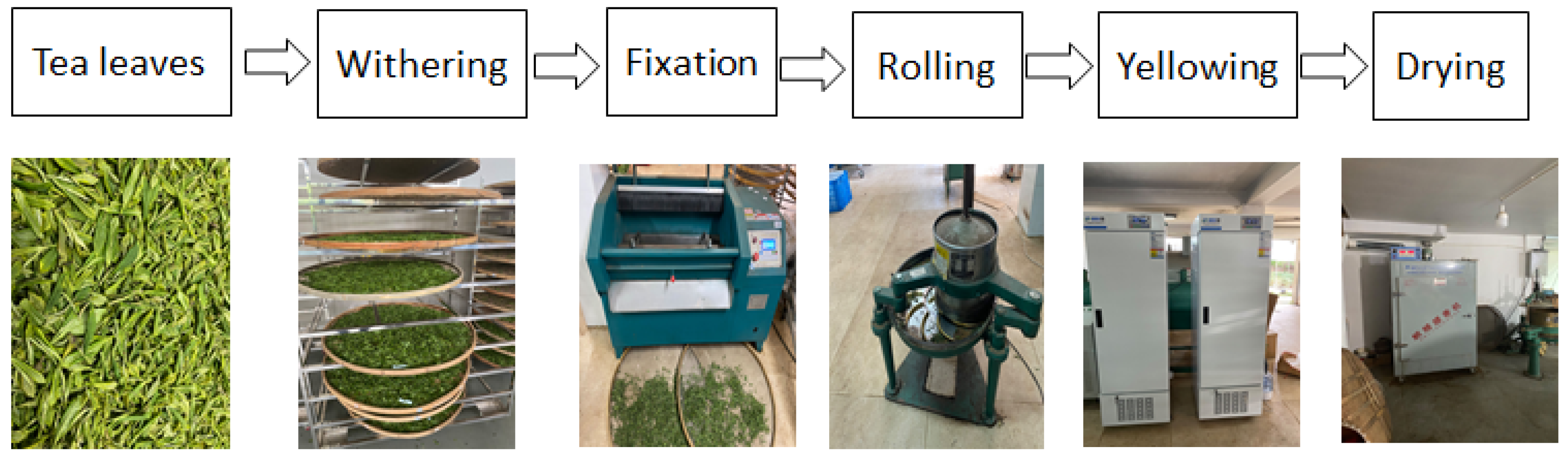 The Effect of Temperature and Humidity on Yellow Tea Volatile Compounds ...