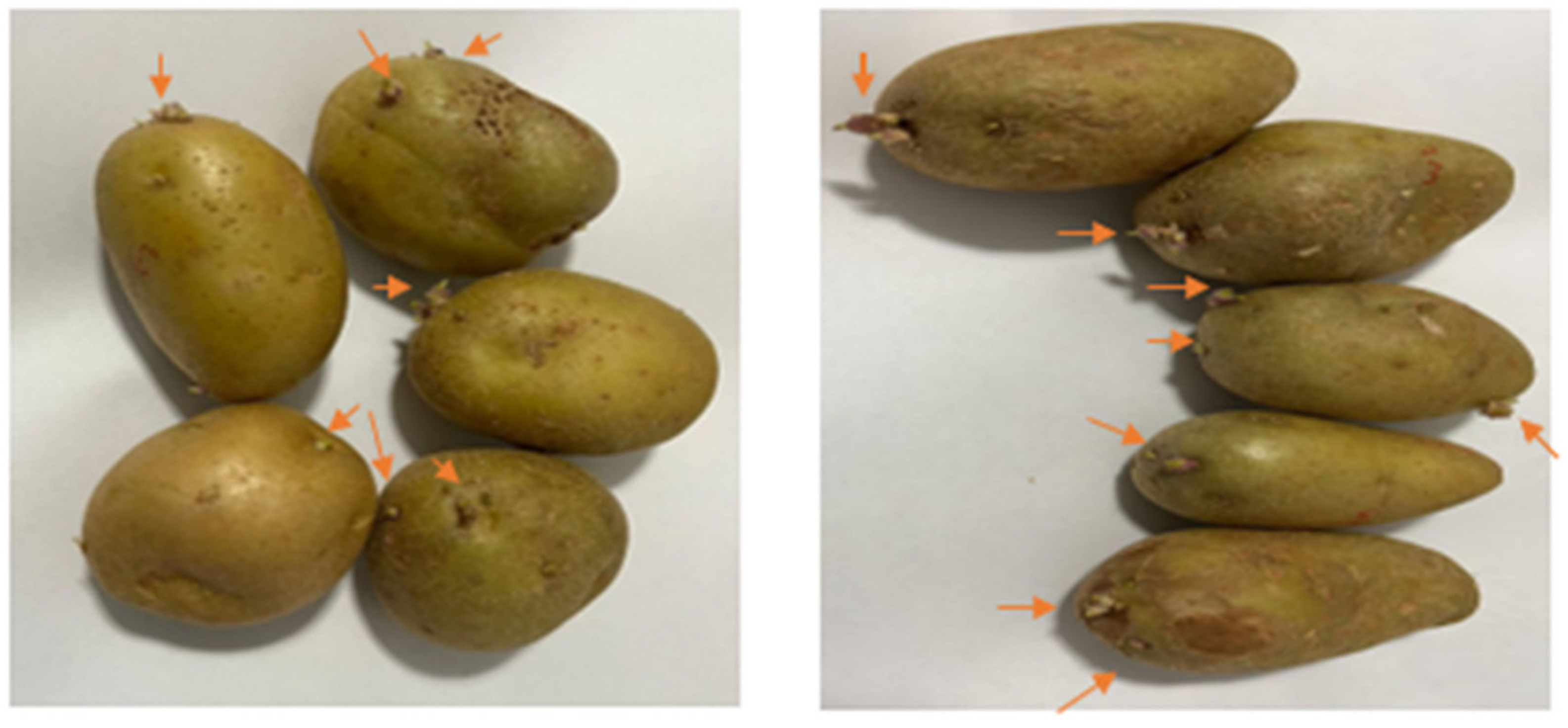 Valorization of Potato Peels (Solanum tuberosum) Using Infrared ...
