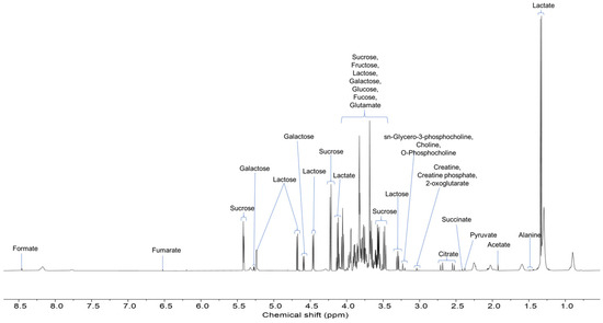 HRMAS-NMR-Based Metabolomics Approach to Discover Key Differences in ...