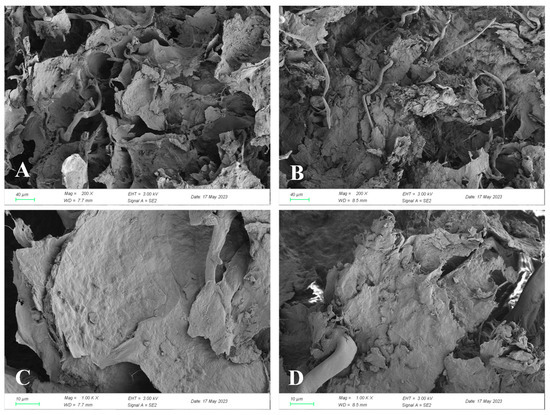 Nutrients, Phytochemicals, and Antioxidant Capacity of Red Raspberry ...