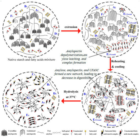 Research Progress on the Physicochemical Properties of Starch-Based ...