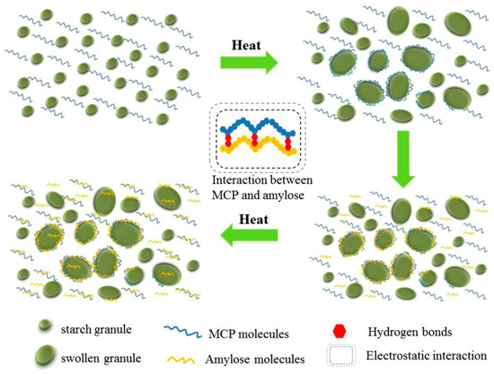Research Progress on the Physicochemical Properties of Starch-Based ...