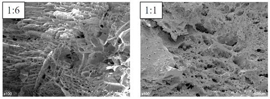 Effect of Rice Protein on the Gelatinization and Retrogradation of Rice ...