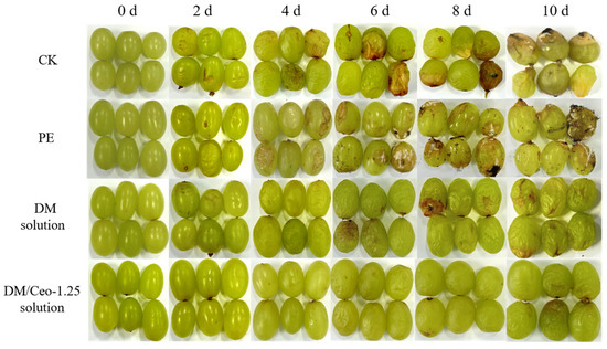 Effect of Dual-Modified Tapioca Starch/Chitosan/SiO2 Coating Loaded ...