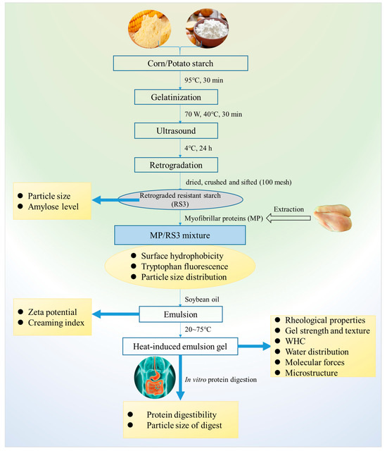 Retrograded Resistant Starch Improves Emulsion Stability and Emulsion ...
