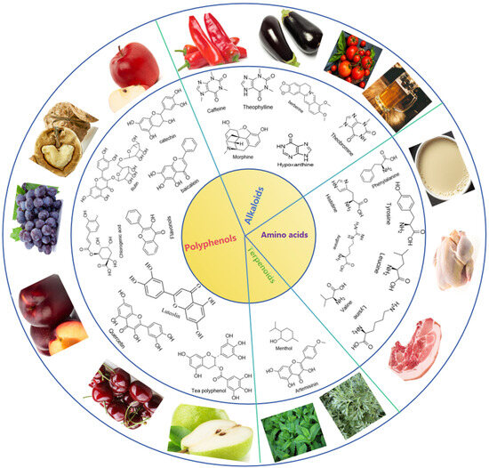 Bitter Perception and Effects of Foods Rich in Bitter Compounds on ...