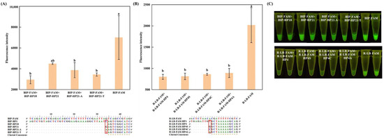 Validation of a Novel Strategy for Fluorescence Quenching for a Self ...