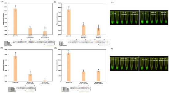 Validation of a Novel Strategy for Fluorescence Quenching for a Self ...