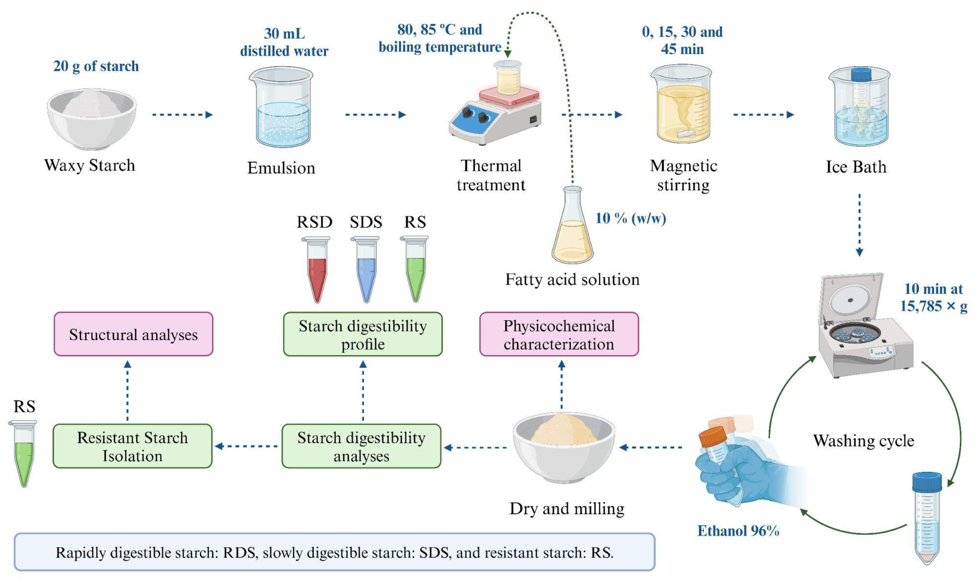 Resistant Starch Type 5 Formation by High Amylopectin Starch–Lipid Interaction