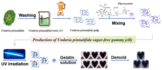 Improvement of Undaria pinnatifida Sugar-Free Gummy Jellies’ Properties ...