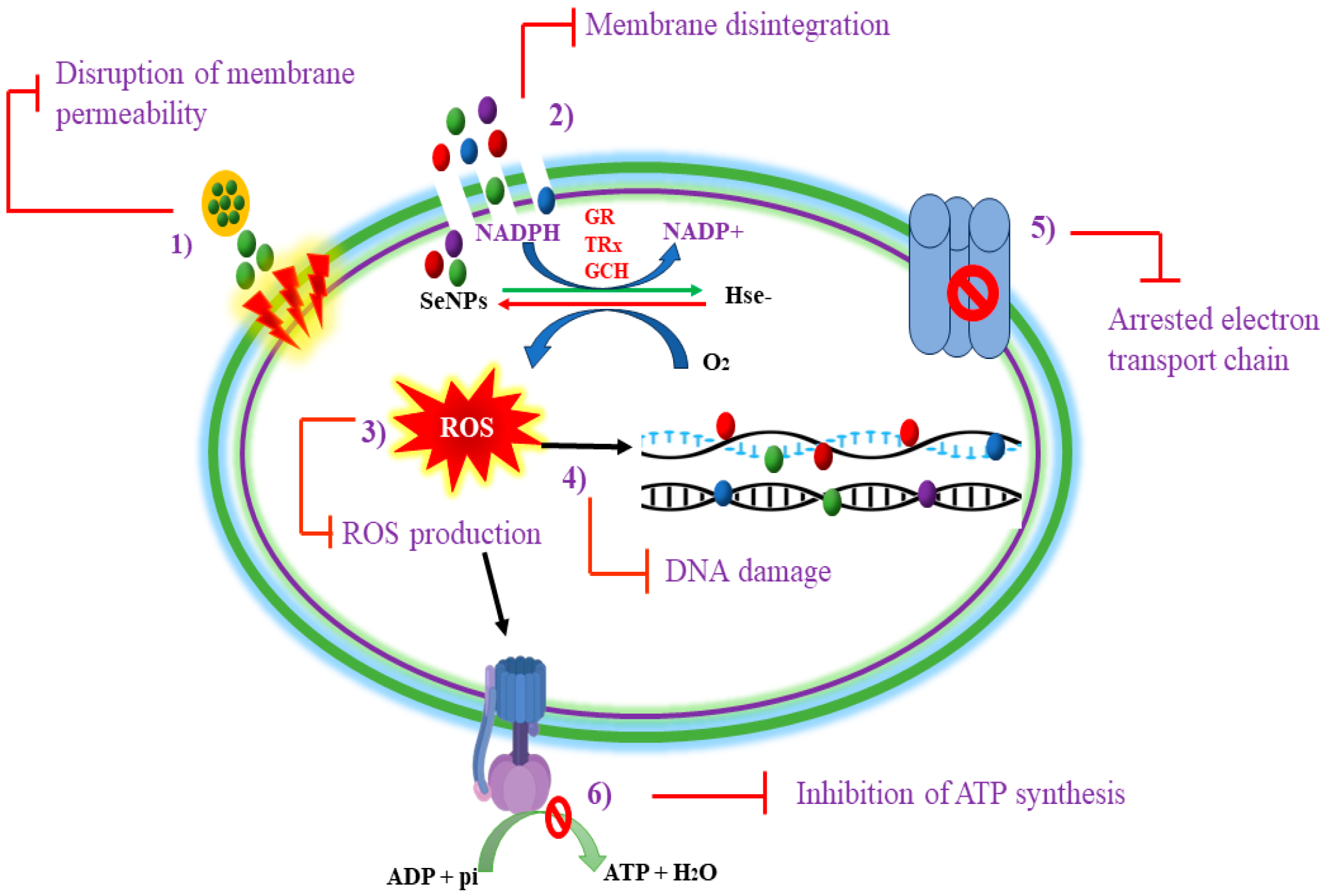 Targeting Spore-Forming Bacteria: A Review on the Antimicrobial Potential of Selenium Nanoparticles