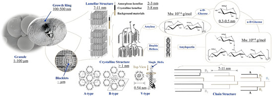 Strategies and Methodologies for Improving Toughness of Starch Films