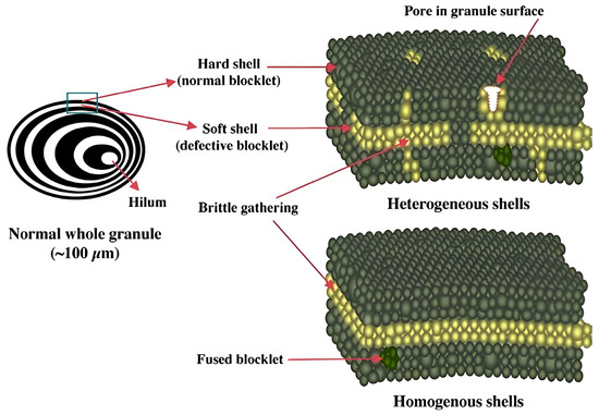 Strategies and Methodologies for Improving Toughness of Starch Films