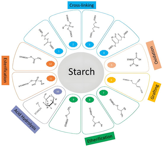 Strategies and Methodologies for Improving Toughness of Starch Films