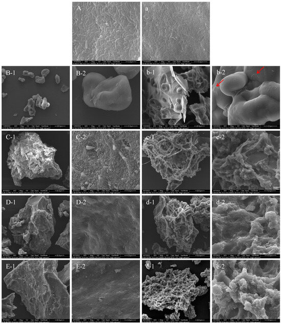 Debranched Lentil Starch–Sodium Alginate-Based Encapsulated Particles ...