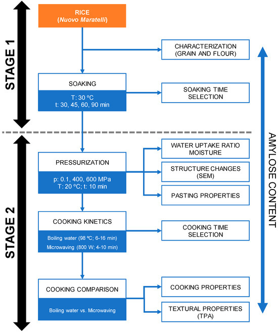 Effect of High-Pressure Processing Pretreatment on the Textural ...