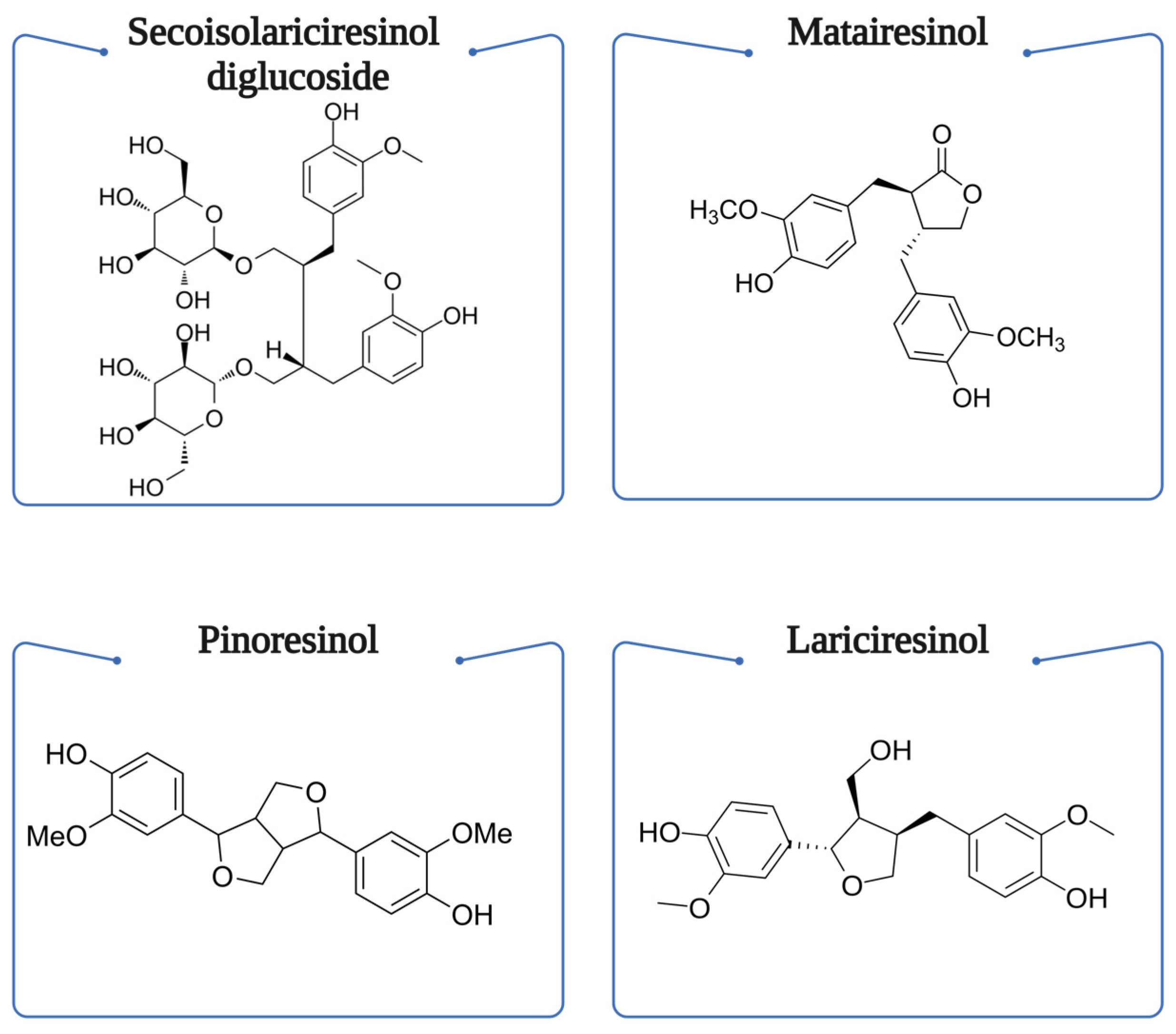 Polyphenols: From Classification to Therapeutic Potential and ...