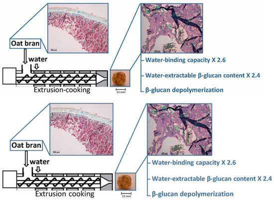 Research Progress in the Extraction, Structural Characteristics ...
