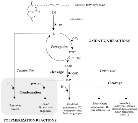 Vegetable Oils and Their Use for Frying: A Review of Their ...