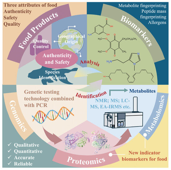 Foodomics as a Tool for Evaluating Food Authenticity and Safety from ...